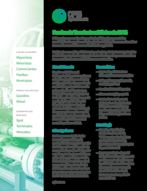 OPIS Buyer Persona: Transportation | PDF