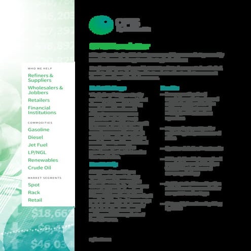 OPIS Overview Brochure | PDF