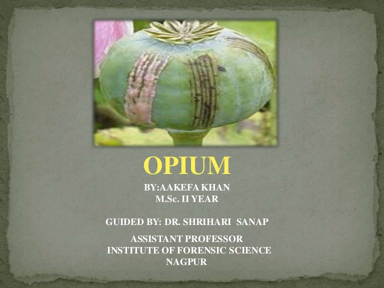 Opium