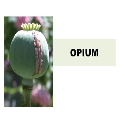 Opium | PPTX