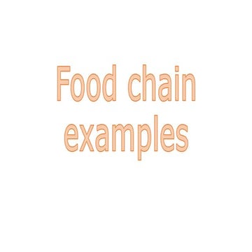 Food chain examples | PPTX