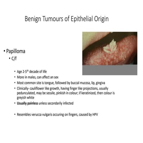 OPM-Benign_Tumors_Epitlelial_Origin-16-12-14.ppt