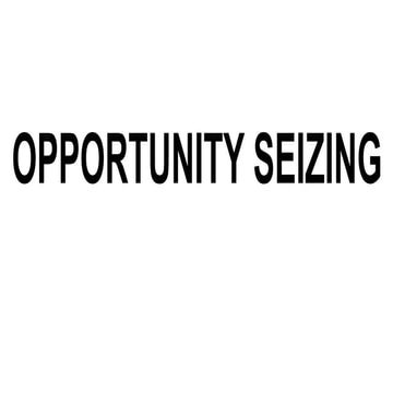 Opportunity Seizing.pptx