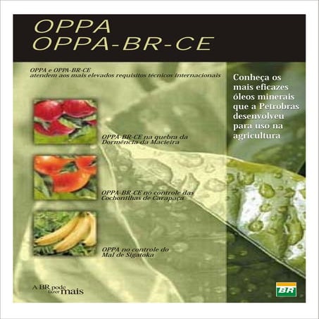 Oppa br-ce | PDF