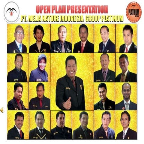 Opp mni platinum 2010 | PPS