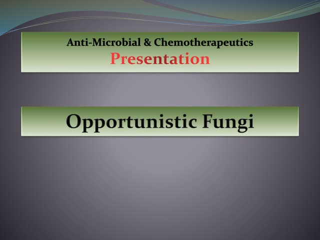 Aspergillus | PDF