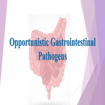 Opportunistic gastrointestinal pathogens | PPTX