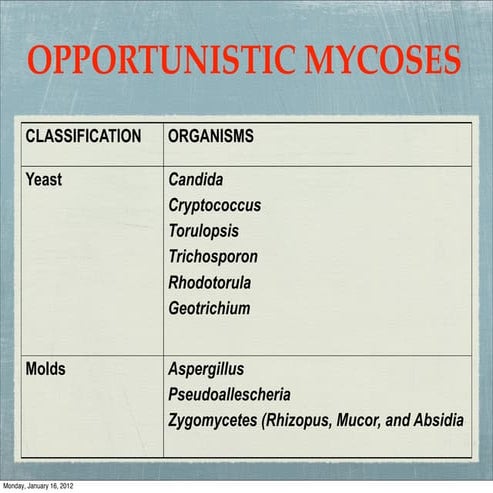 Opportunistic mycoses | PDF