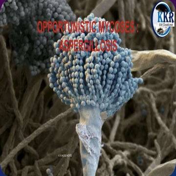 Opportunistic mycoses ASPERGILLOSiS .pptx