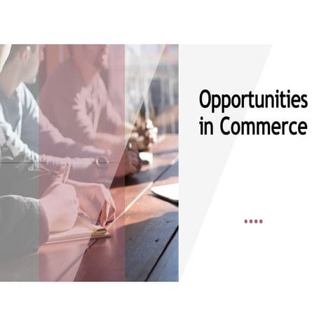 Opportunities in Commerce and Business Studies PPT_241017_204517.pptx