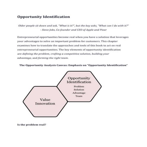 Opportunity Identification.docx