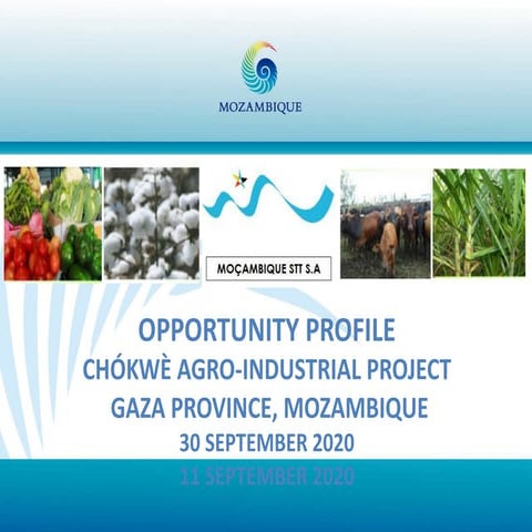 Opportunity Profile - Chokwe Agro-Industrial Project 300920.pdf