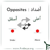 Modern Standard Arabic Verbs (Part 2) | PPT