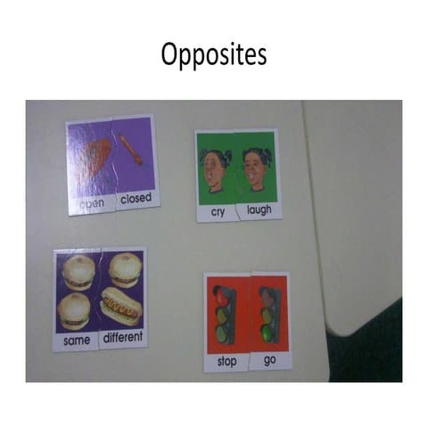 Opposites with Beginning ESL Students | PPTX