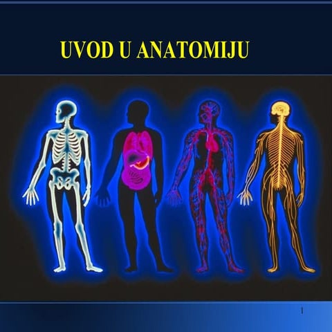 Kosti-lobanje- | PDF