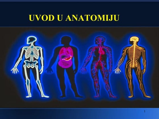 Hirurška anatomija maksile | PPT