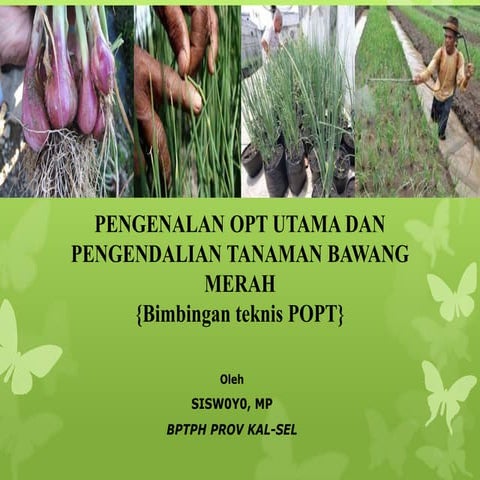 OPT Bw.Merah.pptx