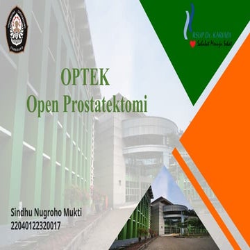 Comprehensive Guide to Open Prostatectomy and LUTS Management | PPTX