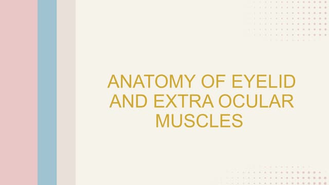 Anatomy Of Eyelid And Ptosis | PPTX