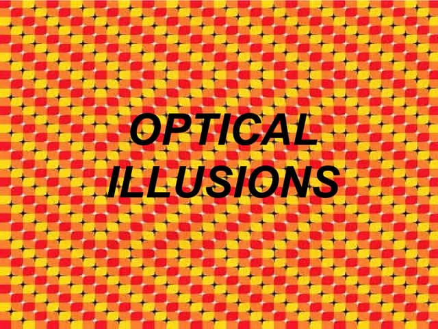 Optical Illusions!! | PPT