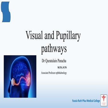 Visual pathway | PPTX