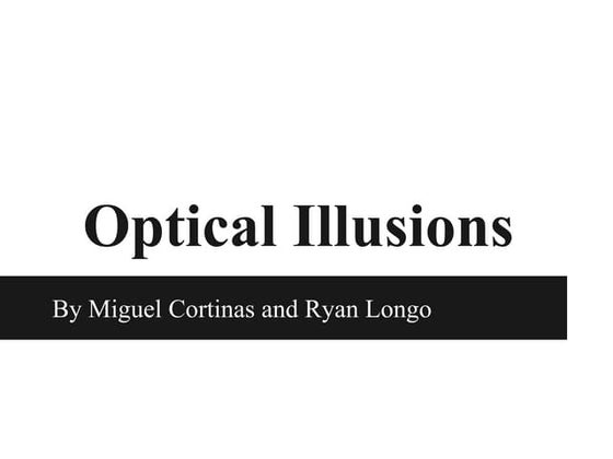 Optical Illusion | PPS