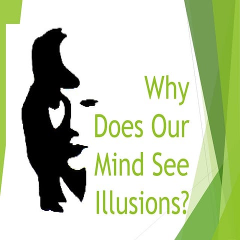 Optical illusions | PPT