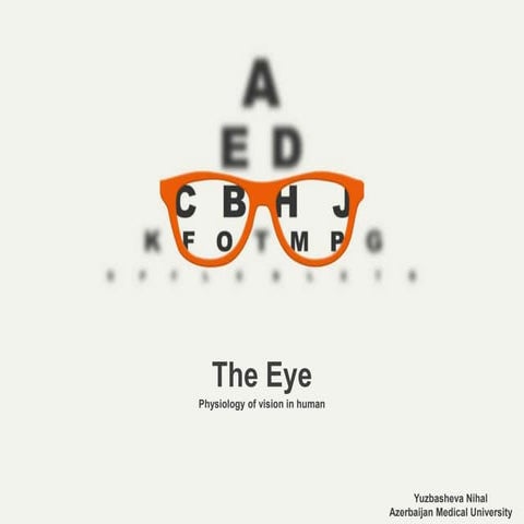 The Eye - Physiology of vision in human | PPT