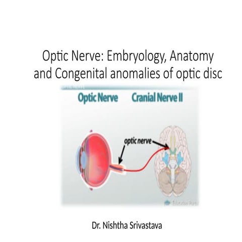 Anatomy of optic nerve | PPTX