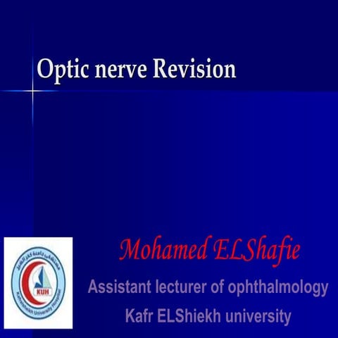 Optic nerve revision | PPT