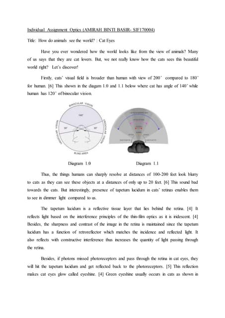 Presentation Slip System | PPTX