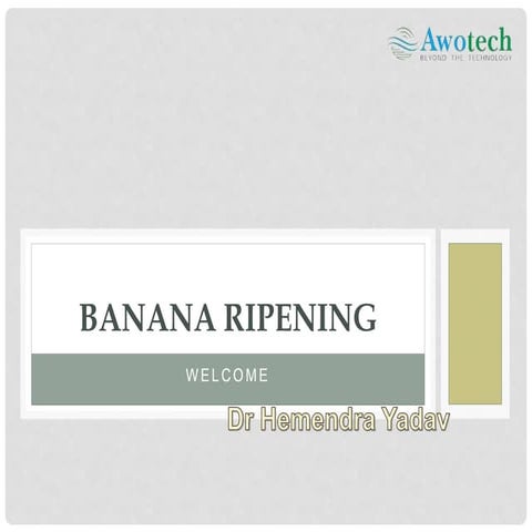 Optimal Banana Ripening Cold Room Techniques Awotech.pptx