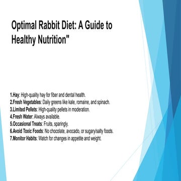 Optimal Rabbit Diet. what bunnie can eat | PPT