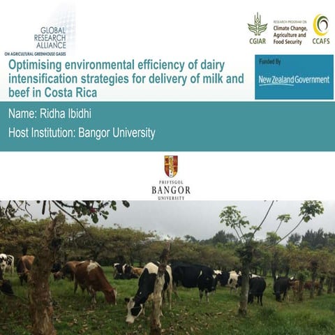 Optimising environmental efficiency of dairy intensification strategies ...