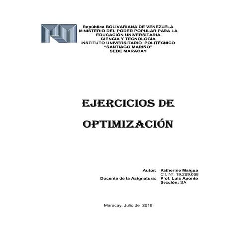 Optimización de Sistemas y Funciones | PDF