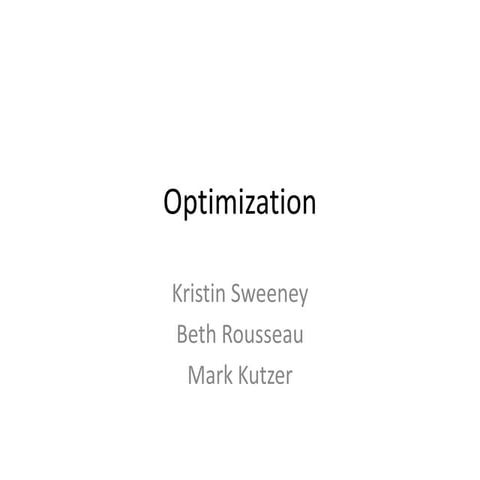 Optimization Final | PPTX