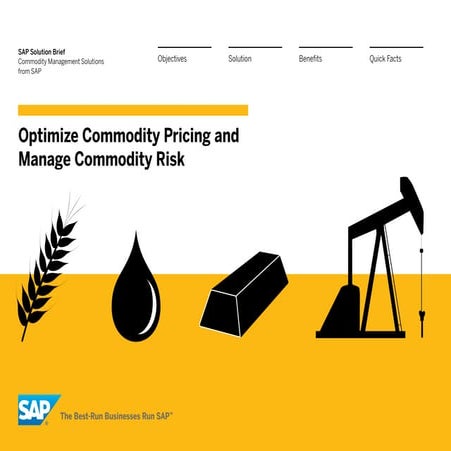 Optimize commodity pricing and manage commodity risk | PDF
