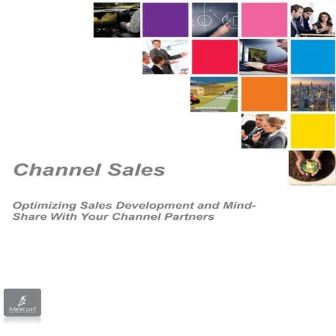 Optimizing Channel Sales by Mercuri International | PDF