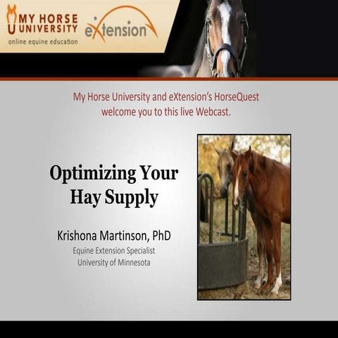 Optimizing Hay And Feeding Storage (Martinson) | PPTX | Equine Sports ...