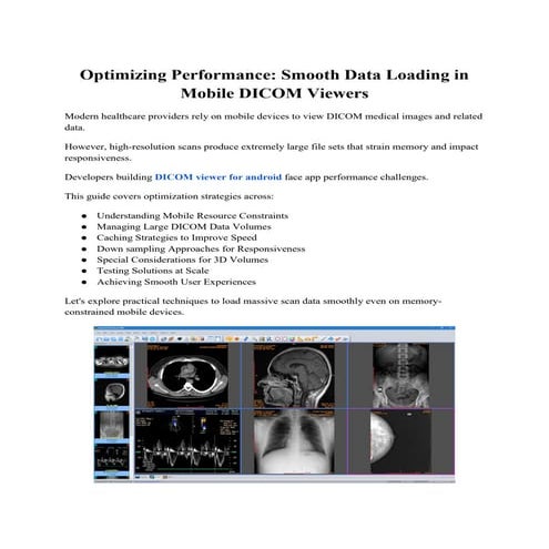 Optimizing Performance Smooth Data Loading in Mobile DICOM Viewers.pdf