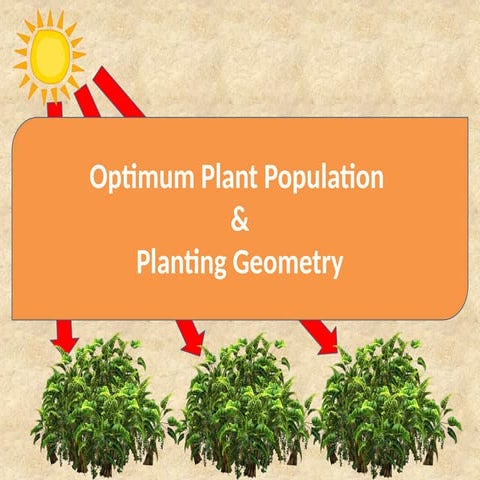 optimum planting geometry and population | PPT