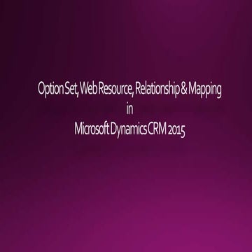 Option Set Web Resource Relationship And Mapping In Microsoft Dynamic Crm 2015 Ppt
