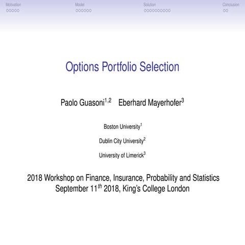 Options Portfolio Selection | PDF