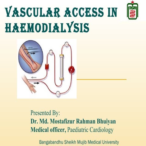 Hemodialysis Access