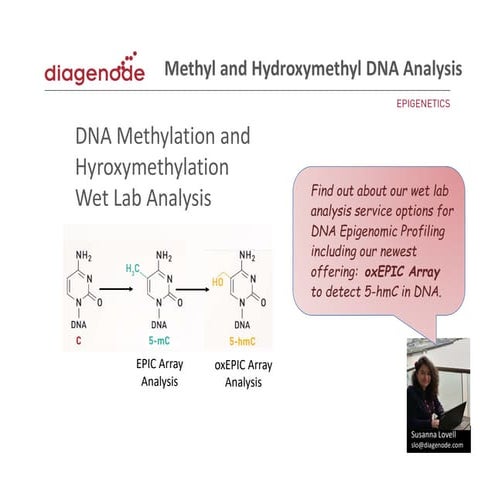 Options for DNA Methylation Analysis | PPT