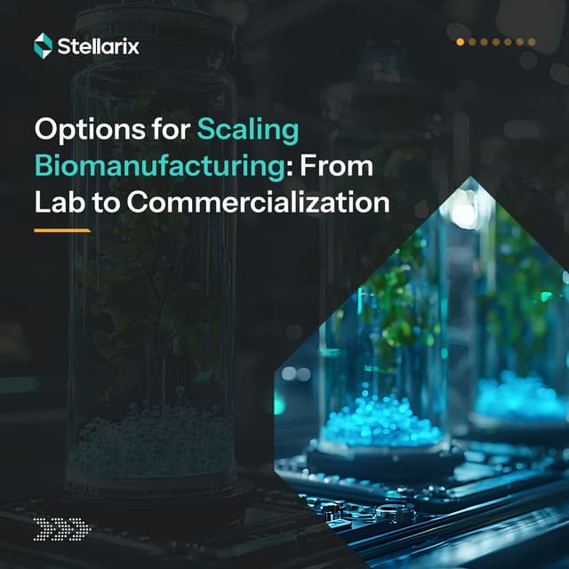 options for scaling biomanufacturing- lab to commercialization.pdf