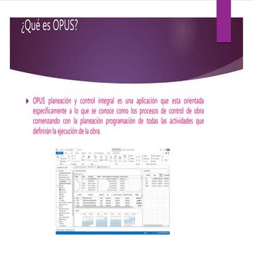 Software Opus | PDF