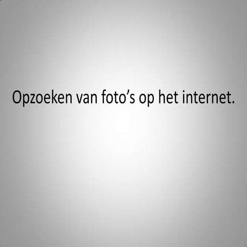 Opzoeken van foto’s op het internet | PPT