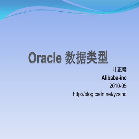 Oracle 数据类型 Ppt 