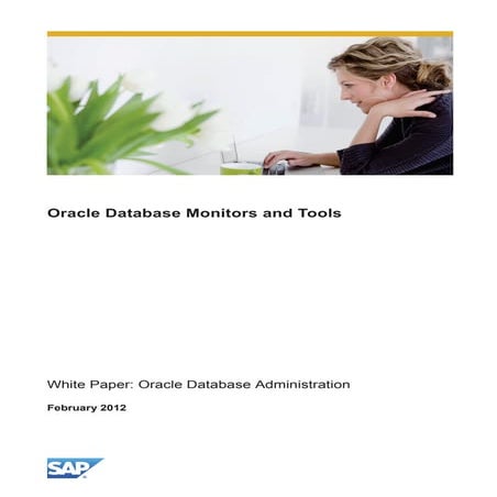 Oracle database monitors and tools | PDF